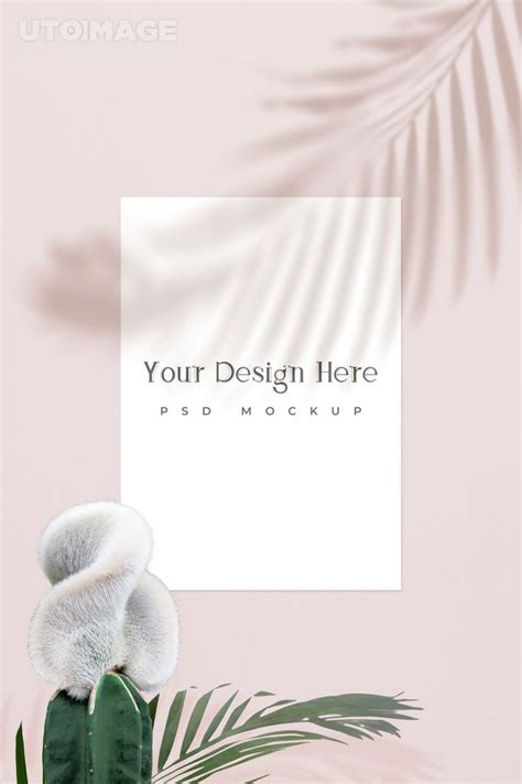 여름배경 트로피컬 프레임 여름컨셉의 백그라운드 D200504e Ddk 그래픽 여름 트로피컬 트로피칼 백그라운드 테이블 봄 잎 잎사귀 잎파리 목재