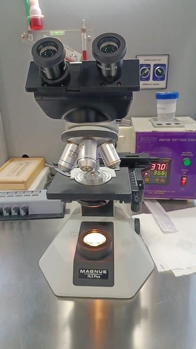 Ytshorts Viralvideo Shortsyt Ytviral Medical Viralvideo Highlights Shortsvideo Youtube