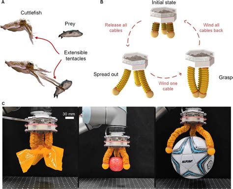 Introducing The Hybrid Driven Robotic Origami Gripper