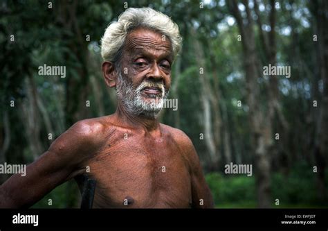 Sri Lanka Grey Hair Hi Res Stock Photography And Images Alamy