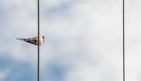 무료 이미지 비행 하늘 바람 선 돛대 푸른 풍력 터빈 가로등 조명 전등 지구의 분위기 4584x2658