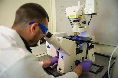 Imaging Facility Center For Molecular And Cellular Biosciences The