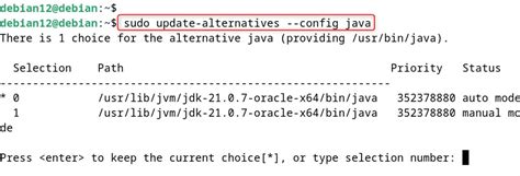 How To Install Java On Debian 12 Using Apt And Deb