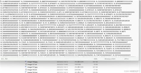 coco格式数据集 json转换成yolo格式数据集txt（python代码） coco数据集实例分割json格式转yolo csdn博客