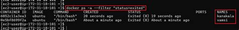 How To Continue A Docker Container Which Has Exited Geeksforgeeks