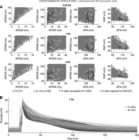 In Silico Action Potential Ap Biomarkers At 0 25 1 And 3 Hz A And