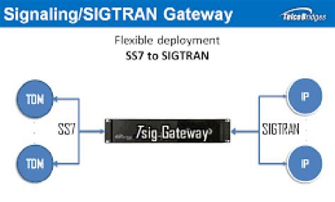 Signaling Gateway TEC Certificate In Gurugram ID