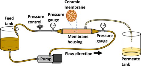 Cross Flow Filtration Mode Of Action Download Scientific Diagram