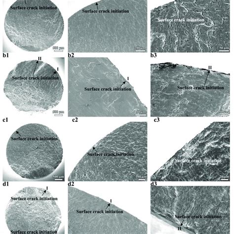 Fatigue Fracture Surfaces Of 25crmo4 Specimens In The Initial State And