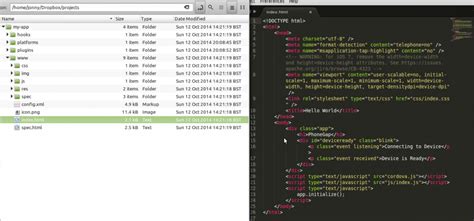 Getting Started Phonegapcordova On Linux Red Branch