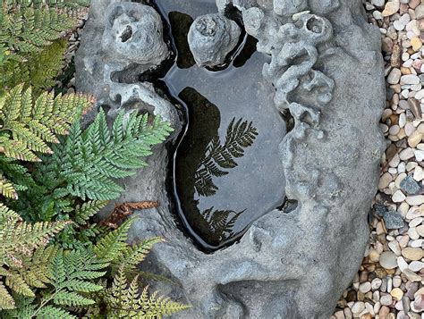 Esculturas By Luis Vallejo Luis Vallejo Jardín Bonsai En Alcobendas