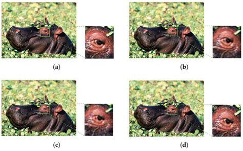 Applied Sciences Special Issue Adversarial Attacks And Cyber Security Trends And Challenges
