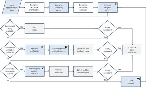 Workflow For Novel Immunoassay Development A Flowchart Of Typical Workflow For Novel Immunoassay Development A Flowchart Of Typical