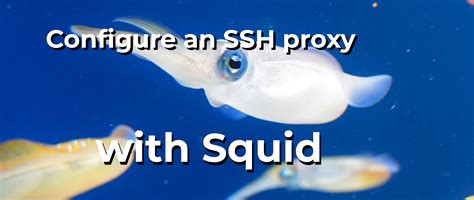 How To Configure An Ssh Proxy Server With Squid Fedora Magazine