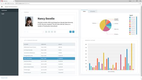 Radzen The New Radzen Angular Aspnet Core Demo Is