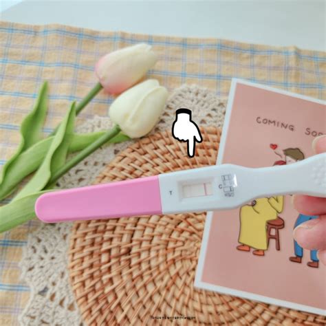 임신테스트기 사용시기 임테기 아침 저녁 희미한 두줄 오류 정확도 네이버 블로그