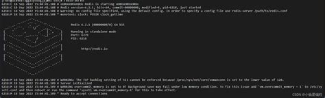 Redis下载与安装(linux环境下)redis6下载linux版本 Csdn博客 Redis下载与安装(linux环境下)redis6下载linux版本 Csdn博客