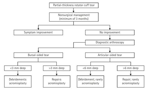 Partial Thickness Rotator Cuff Tears A Review Of Current Literature On