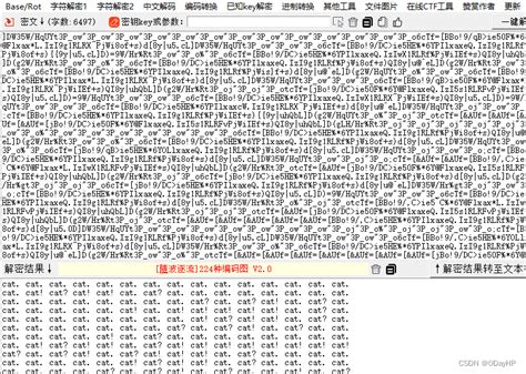 Xctf：catcatcat Writeup Rabbit解密密钥 Csdn博客