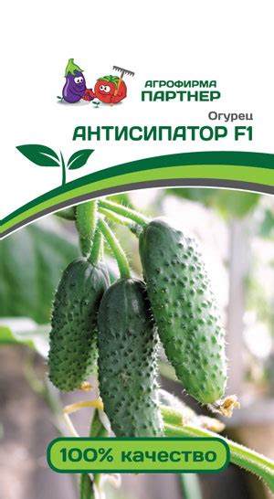 Семена огурцов фирмы Партнер купить в Беларуси - Семена Партнер в ...