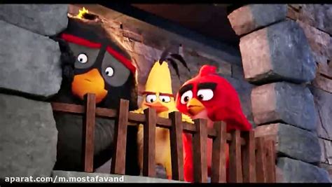 انیمیشنانگری بردز 1