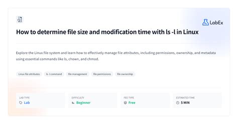 How To Determine File Size And Modification Time With Ls L In Linux