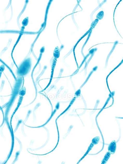 Healthy Human Sperm Cells — Digitally Generated Healthcare Stock