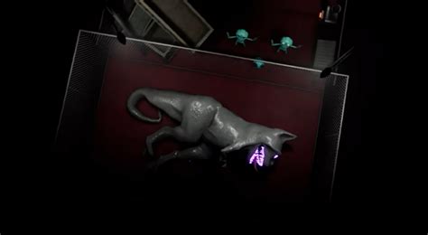 Kittysaurus Fandom