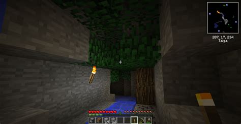 These Trees Generated Underground I Am Using The Scape And Run