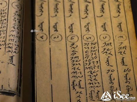 ВИДЕО Д Эрдэнэбаатар нарын хууль бусаар худалдаалахыг завдсан Ромын