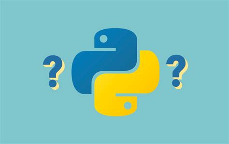 Основные типы данных Python ProgKids