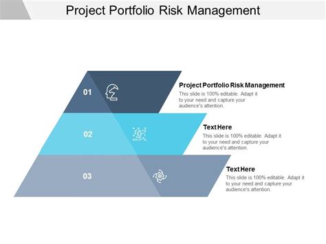 Project Portfolio Risk Management Ppt Powerpoint Presentation Gallery