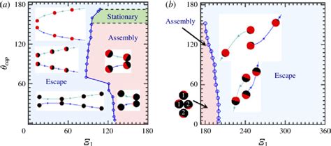 Colour Online Phase Diagrams Of Pair Trajectories Of Catalytically