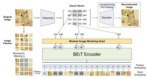 Mask Autoencoder 各类变体 知乎