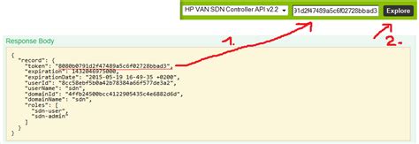 Tutorial For Creating First External Sdn Application For Hp Sdn Van
