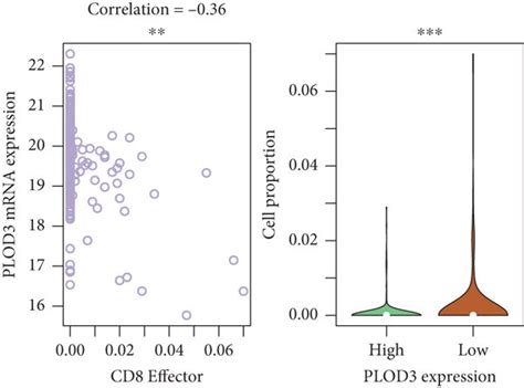 Correlation Between Immune Cell Infiltration And Plod3 Expression The