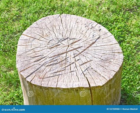 Mowed Dry Grass The Texture Of Dried Straw Royalty Free Stock