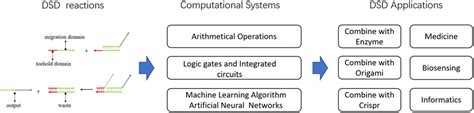 Frontiers Dna Strand Displacement Based Computational Systems And Their Applications