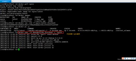 使用网络模式为bridge的docker容器无法访问 docker自带的网络模式 cnolnic的技术博客 51cto博客