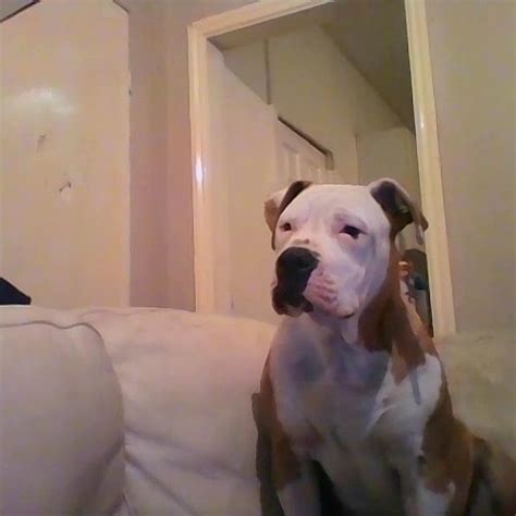 Stream Jake Stathers 1 Music Listen To Songs Albums Playlists For Free On Soundcloud