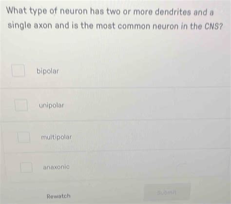 Solved What Type Of Neuron Has Two Or More Dendrites And A Single Axon And Is The Most Common