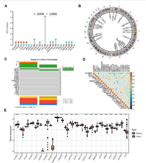 Figure 1 From M6a Regulator Based Methylation Modification Patterns And Characterization Of