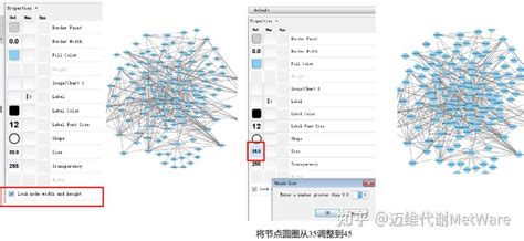 相关性网络图 手把手教你绘制转录组 代谢组高频图 知乎