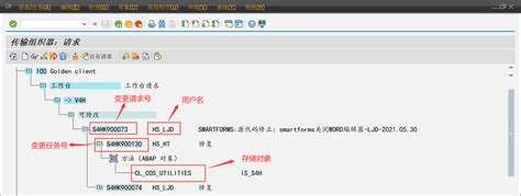 「sap abap」sap包（二）【cts 传输请求】 腾讯云开发者社区 腾讯云