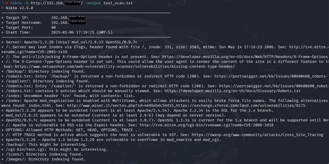 Web Vulnerability Scanning With Nikto