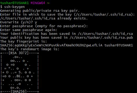 Ssh Key Environment Variable What You Need To Know