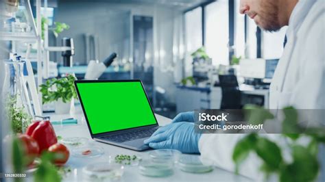 녹색 화면 모의 디스플레이와 노트북 컴퓨터에서 작업 남성 과학자 미생물학자는 첨단 기술 장비를 갖춘 밝은 현대 식품 연구소의