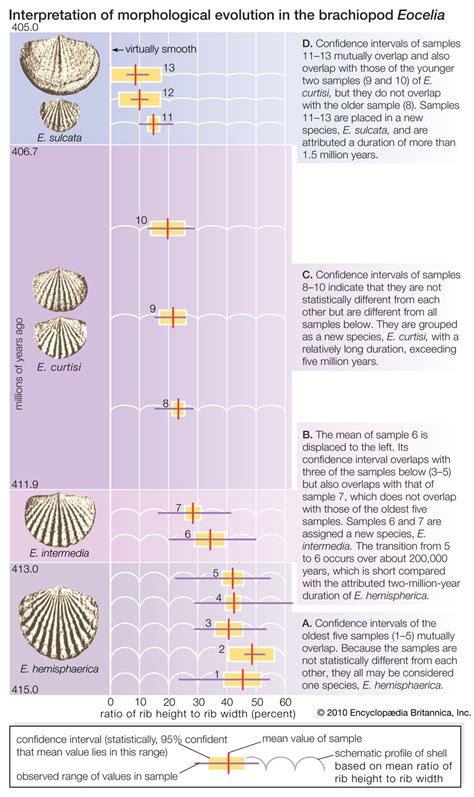 Parallel Evolution