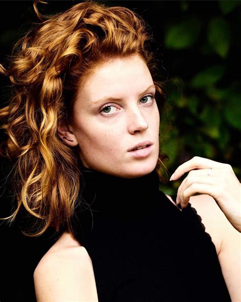 Cornel Traffic Models