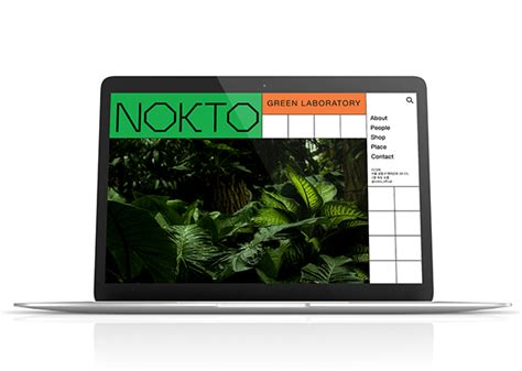 NOKTO Brand Design :: Behance
